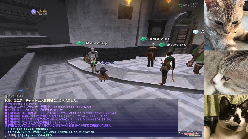 FF11(06狼Fenrir鯖) 5年ぶり2020/05復帰組 ダイバ部 - 2020/11/12(木) 12:26開始 - ニコニコ生放送