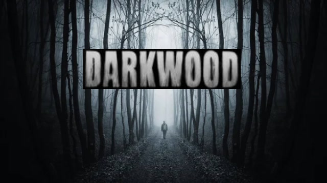 【PS4】DARK WOOD 4日目【初見】 - ニコニ･コモンズ