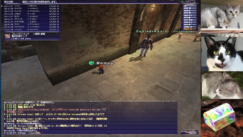 FF11狼鯖 聖水部 - 2022/8/31(水) 10:41開始 - ニコニコ生放送