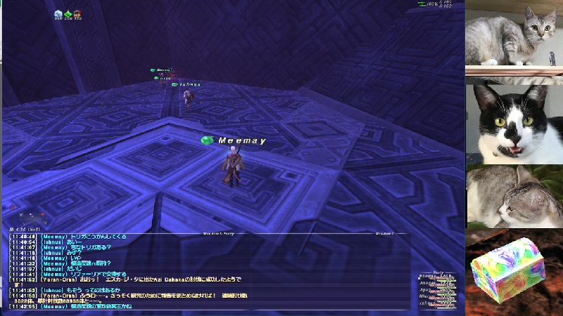 FF11狼鯖 ベガリ練習部 - 2022/9/8(木) 11:37開始 - ニコニコ生放送