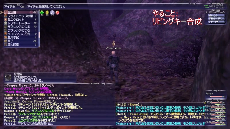 【FF11】金策とか - 2022/10/6(木) 4:17開始 - ニコニコ生放送