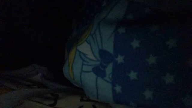 156km/h ノビ4 - 2023/2/8(水) 18:49開始 - ニコニコ生放送