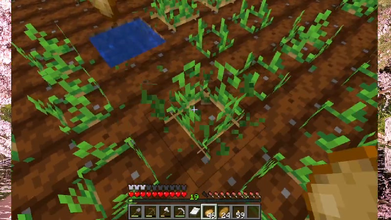 【Minecraft】のんびり遊ぶ。【Java版】 - 2023/6/8(木) 12:34開始 - ニコニコ生放送