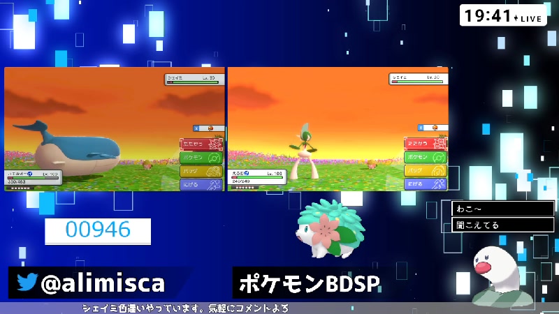 【switch】ポケモンBDSP 色違いを求めて シェイミ編 - 2023/6/19(月) 19:37開始 - ニコニコ生放送