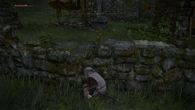 【ELDEN RING】初プレイ！ツリーガード倒したぞ！！！ - 2023/12/4(月) 21:29開始 - ニコニコ生放送