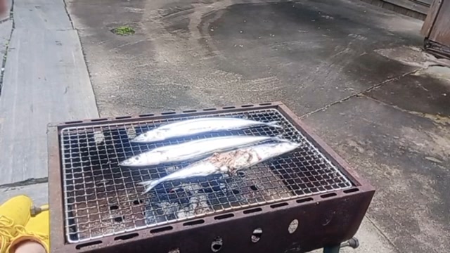 ドルヲタの一人BBQ さんま死闘編 - 2024/11/1(金) 15:43開始 - ニコニコ生放送