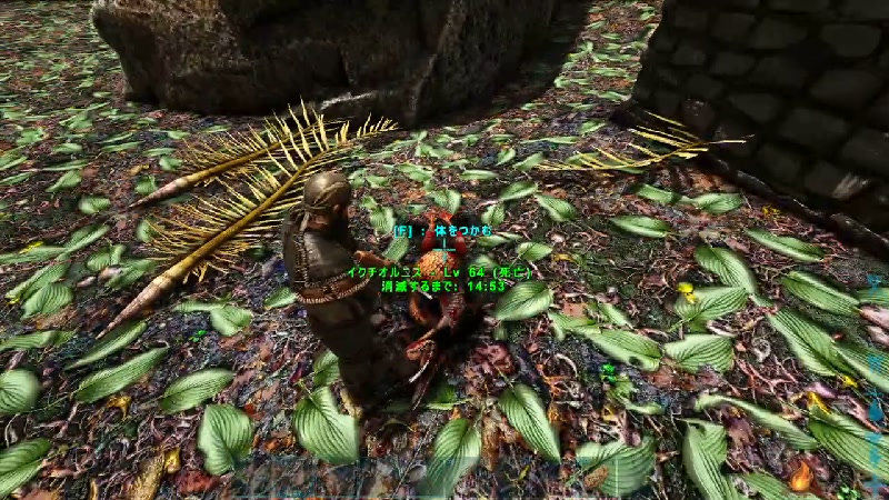 steam版 ARK: Survival Evolved 初心者まったりサバイバル - 2024/12/29(日) 20:35開始 - ニコニコ生放送