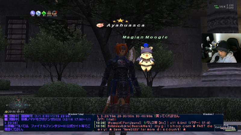 【イベント参加中】FF11 誰かが待っている。誰かを待っている。 - 2025/1/15(水) 10:30開始 - ニコニコ生放送