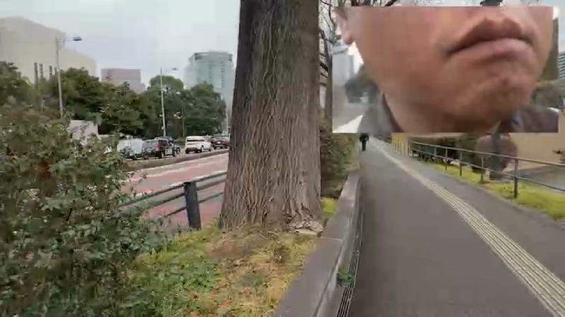 【ギフトイベント参加中】秋葉原から自宅まで23kmウォーキング/Walking 23km from Akihabara to my house ...